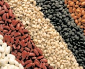 Home - US Dry Bean Council